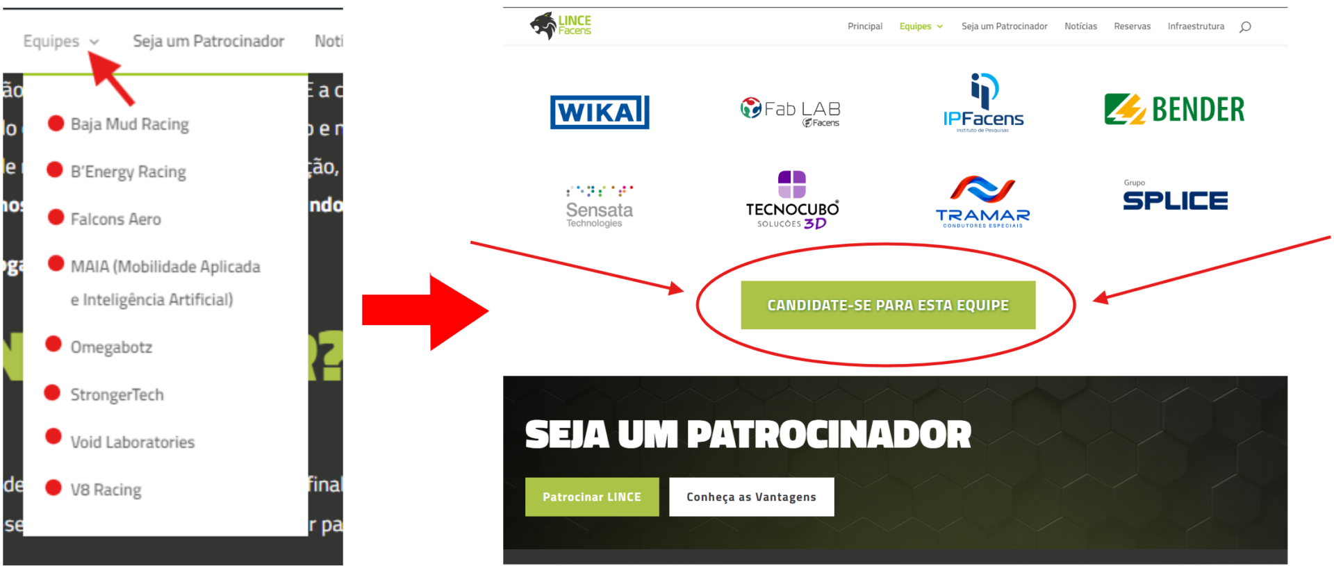 Principal - LINCE Facens